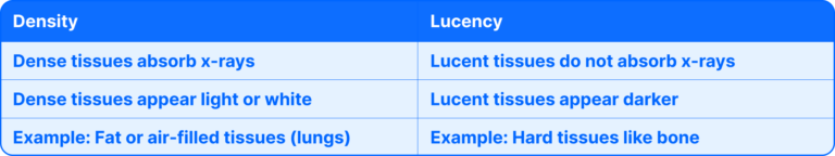 How to Read an X-Ray Report: Lucency, Acute Osseous Abnormality & More