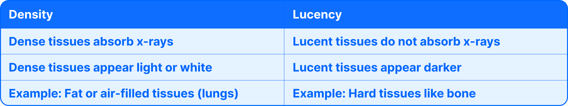How to Read an X-Ray Report: Lucency, Acute Osseous Abnormality & More